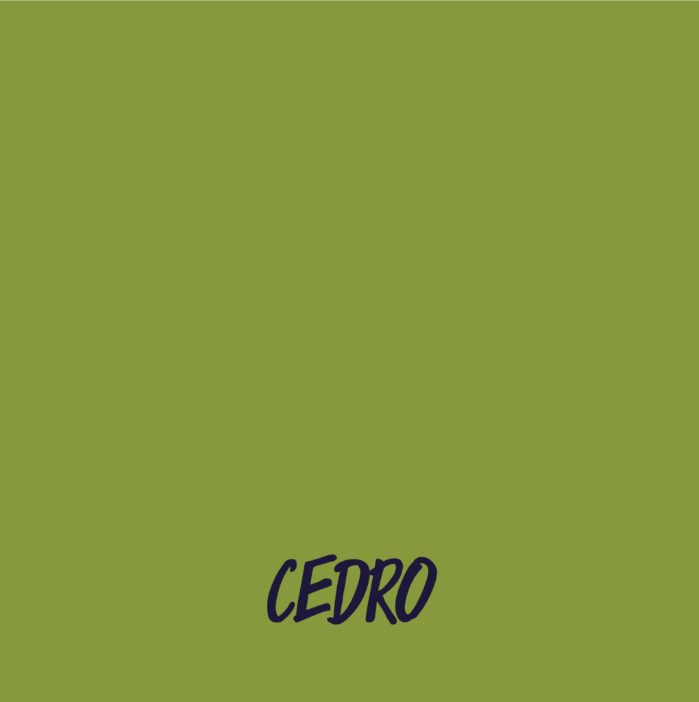 Vernice SETA PLUS SANIFICANTE effetto laccato COLORI VERDI | I colori ...